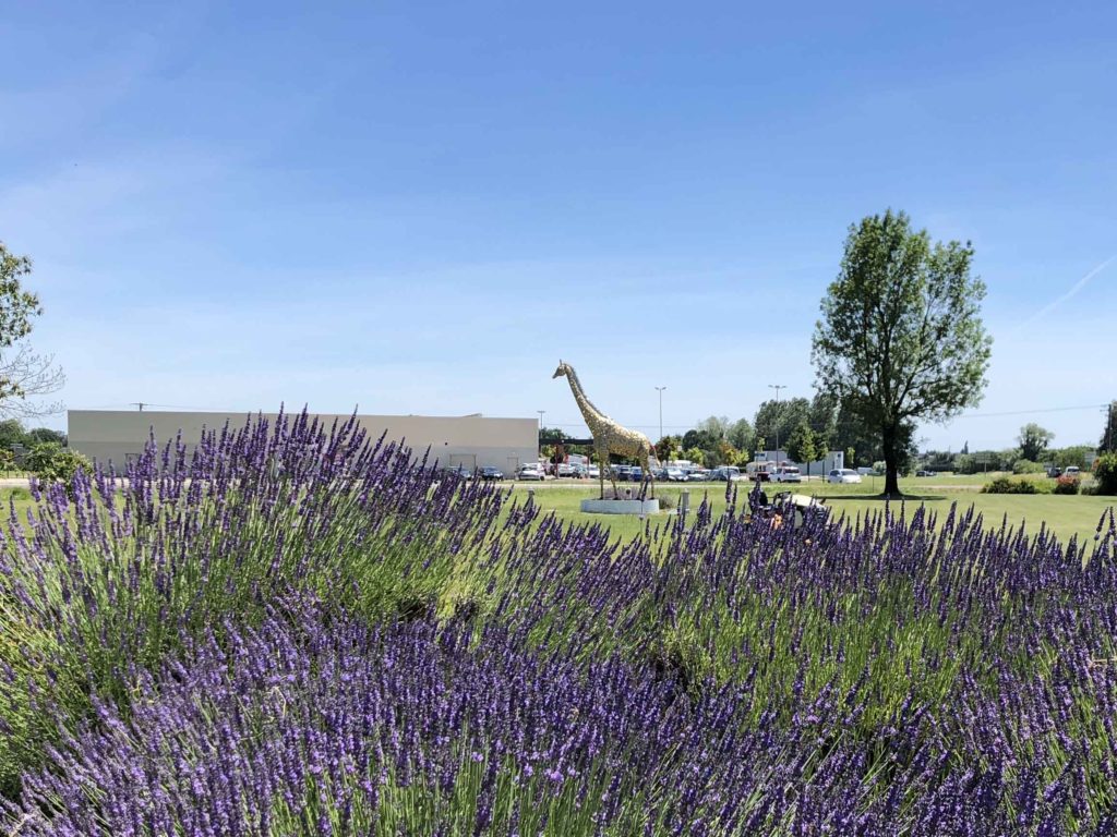 Actualités société - Société Baekelite